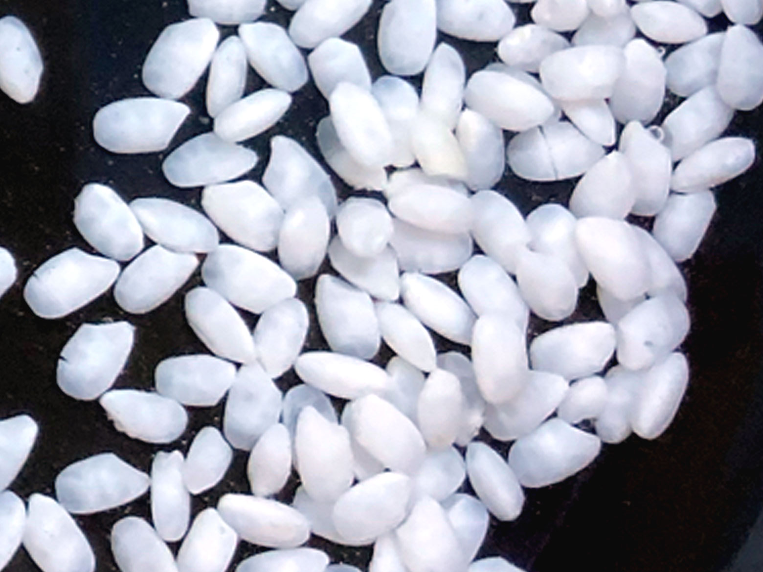 お米ソムリエ直伝！おいしいごはんを炊くポイント♪ - 人も自然もすこやかに 『東洋ライス株式会社』